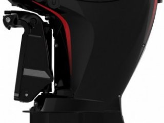 Vente Mercury F150 EFI PRO XS *Offre Remotorisation Dispo saison 2024 L-XL !!! neuf - Moteur de ...